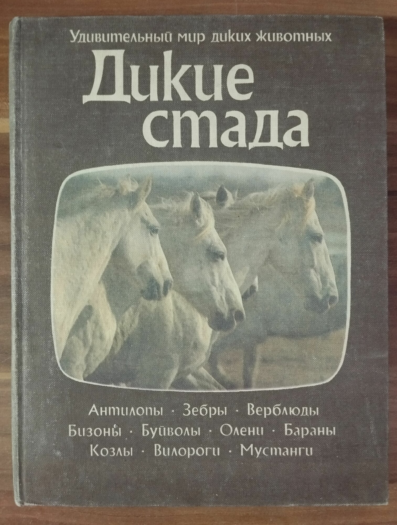 Дикие стада. Нири Джон 1984 г.