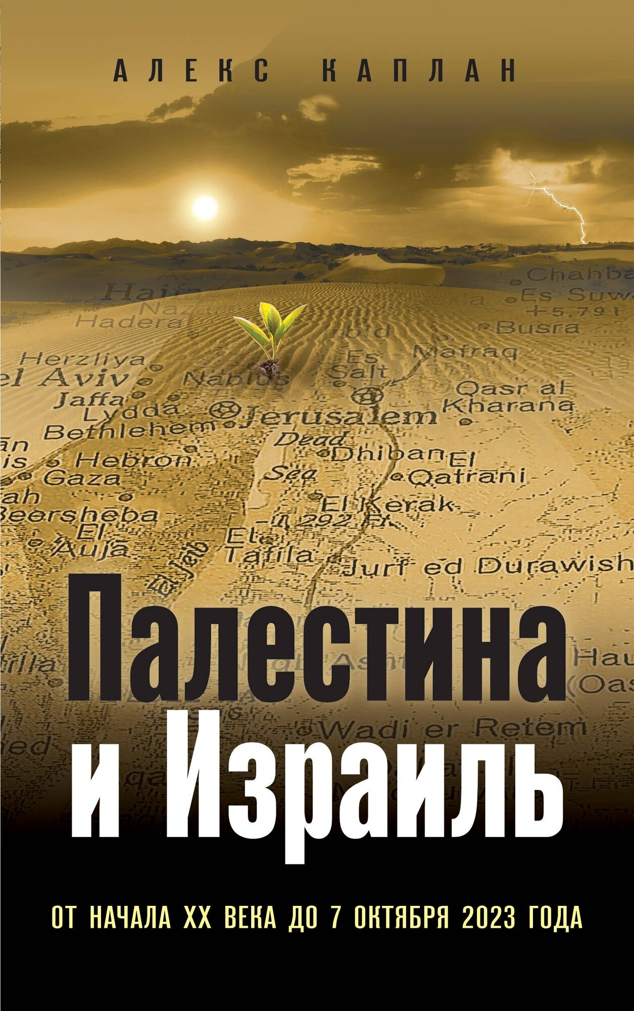 Книга: "Палестина и Израиль. От начала XX века до 7 октября 2023 года" от Каплан А, русский язык, История частей света, отдельных регионов и стран