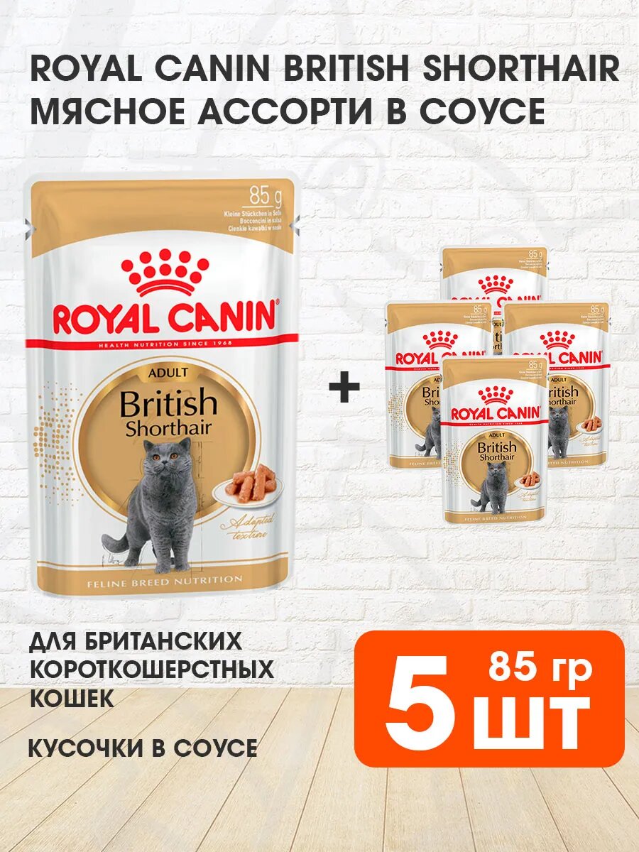 Корм влажный Royal Canin British Shorthair Adult для взрослых британских короткошерстных кошек в соусе пауч, 85 г х 5 шт