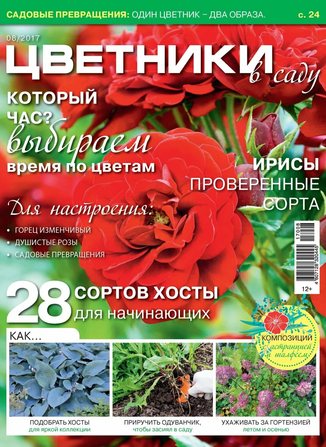 Цветники в саду №08/2017 [Цифровая книга]