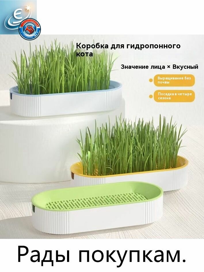 Миска для животных с контейнером для проращивания кошачьей травы, набор для выращивания пшеницы витаминная зелень для кошек, удобный контейнер для свежей травки дома