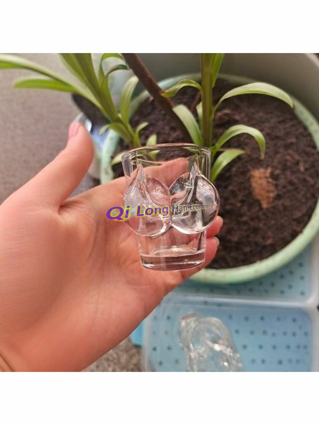 Бокалы "Байцзю", стекло, 50 мл, набор 1 шт, с золотой окантовкой