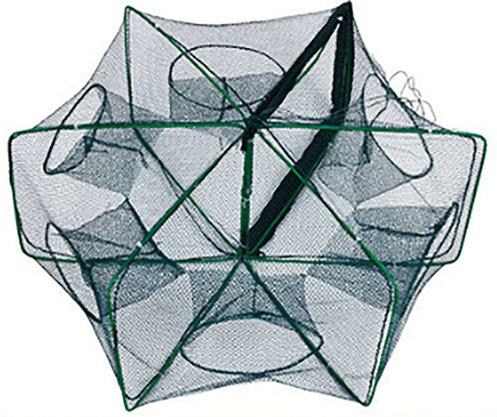 Сетка-ловушка для рыбалки, складная, 6 и 8 отверстий, Ткань без узлов 6 часов