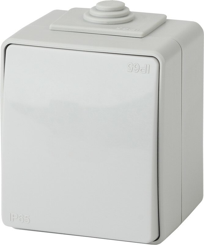 Выключатель Instart одноклавишный, открытой установки, IP65, 10А 250В, винтовые зажимы, серый