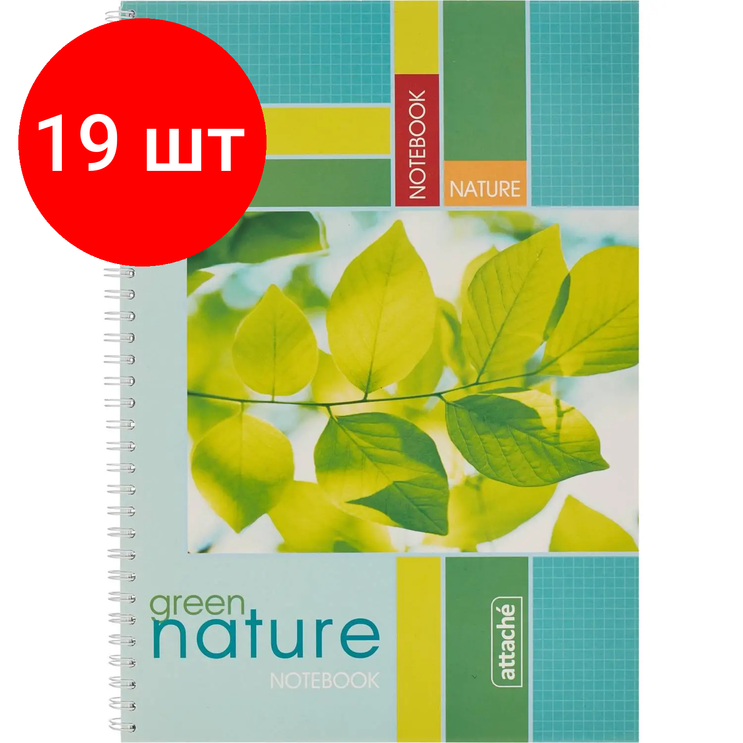 Комплект 19 штук, Тетрадь общая Attache,96л, клет, А4, спир, обл. мел. карт