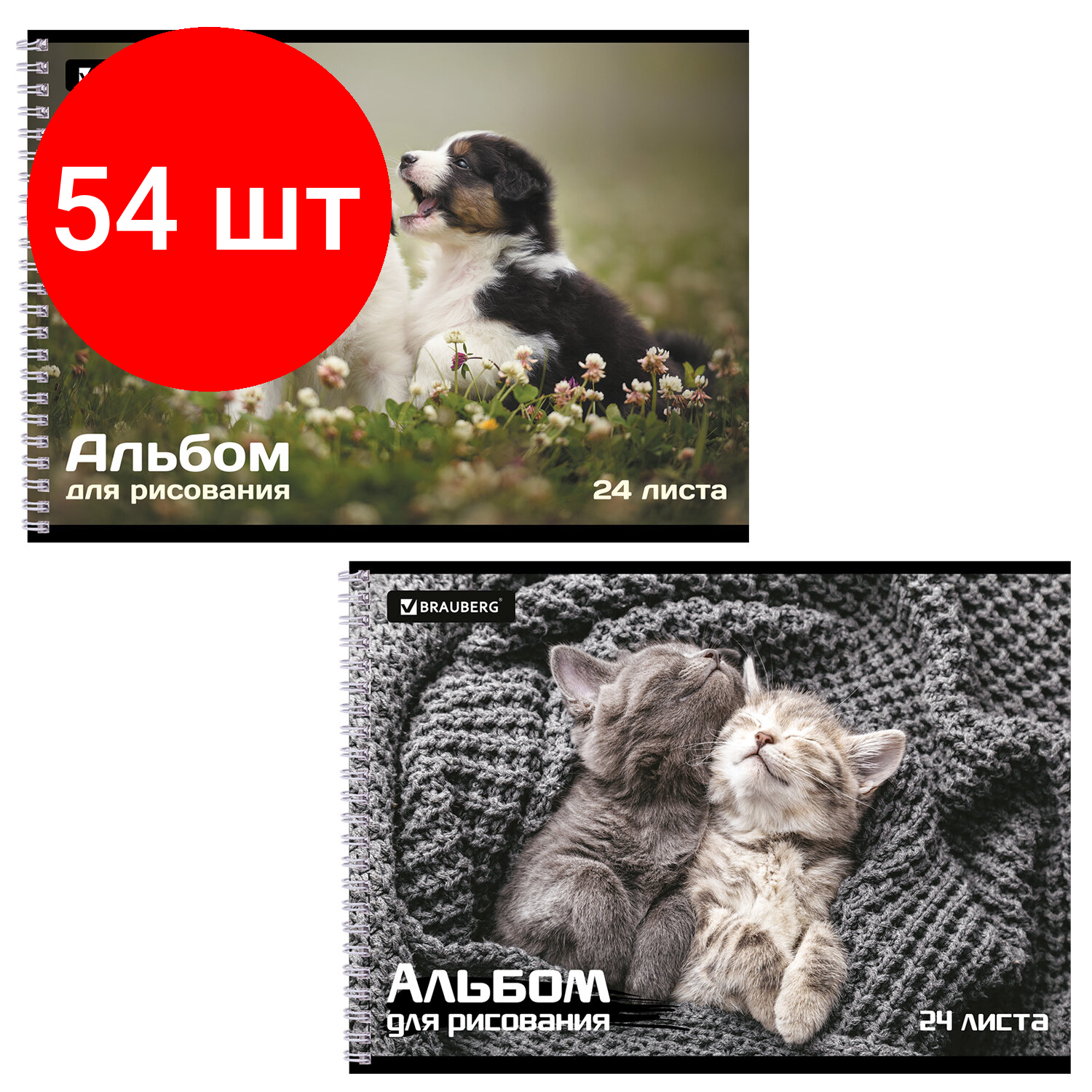 Комплект 54 шт, Альбом для рисования А4, 24 листа, гребень, обложка картон, BRAUBERG, 195х285 мм, "Питомцы" (2 вида), 106696