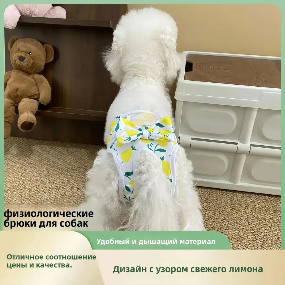 Многоразовые трусики для собак во время течки, красные в горошек. Для мелких пород: мальтезе, гриффон. Товары для ухода за животными.