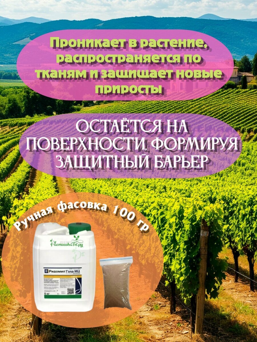 Фунгицид Syngenta Ридомил Голд МЦ, для овощей и винограда, от болезней, 100 грамм, ручная фасовка