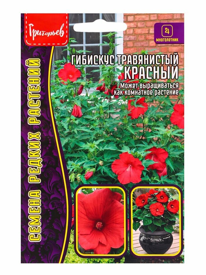 Семена цветов Гибискус Красный травянистый 5 шт. 12.29 г. 10967271