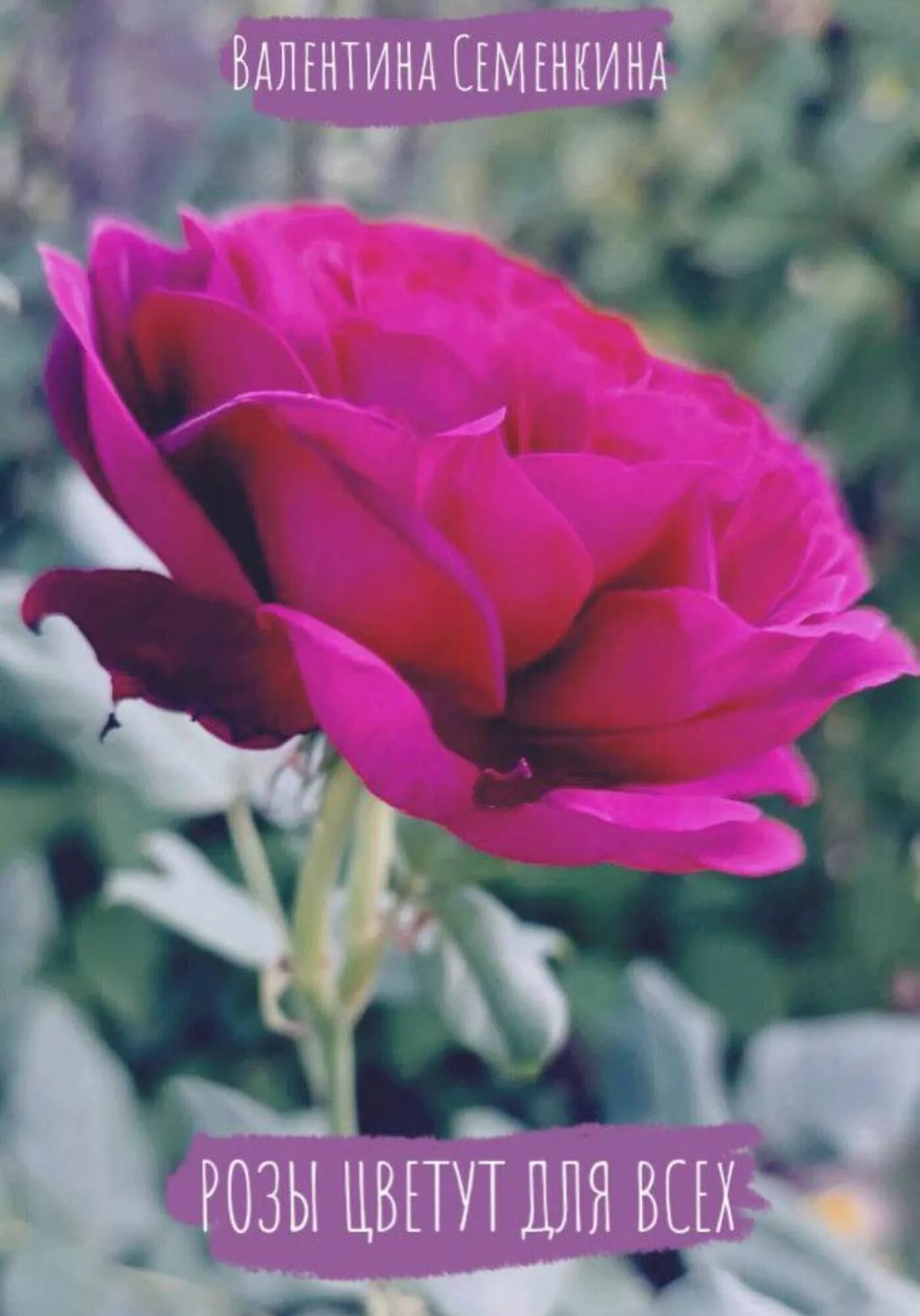 Розы цветут для всех [Цифровая книга]