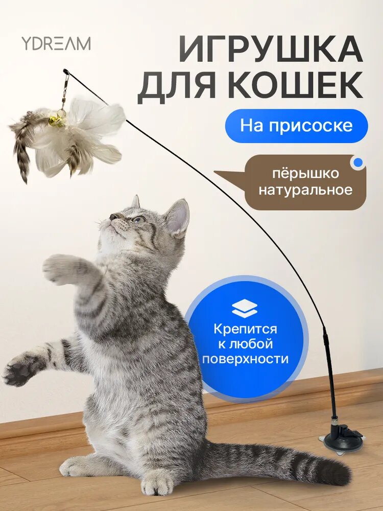 Игрушка для кошек интерактивная, удочка дразнилка на присоске / зоотовары для котят и кошек