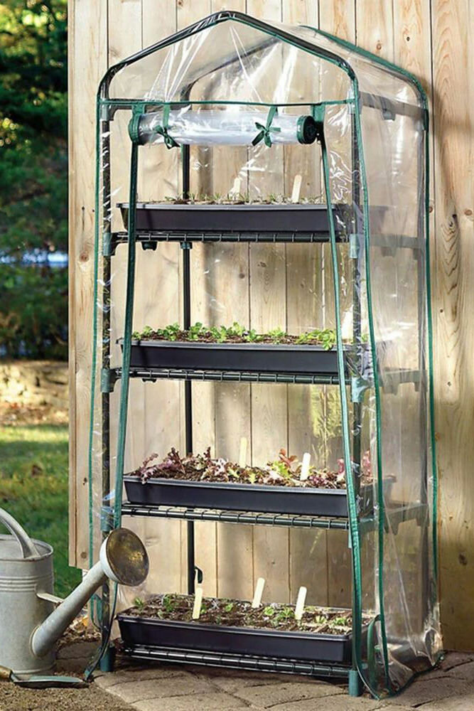 Парник для дома и балкона шкафчик-сад четырехъярусный, ПВХ, металл, 50х45х130 см, Koopman International CE6500040