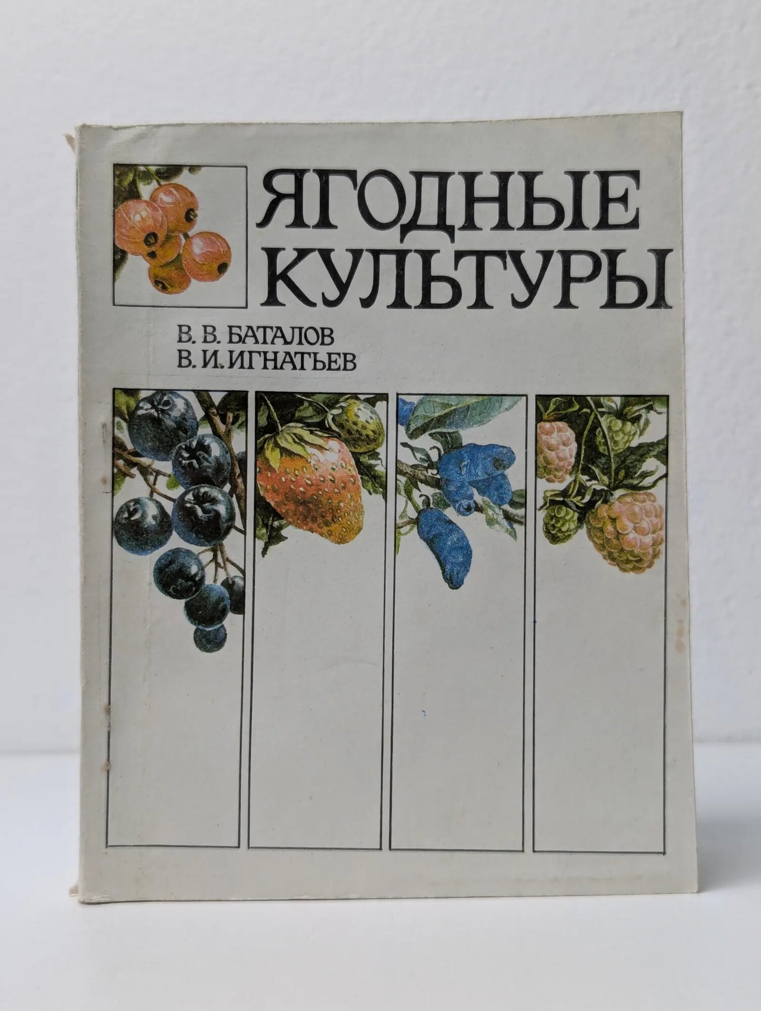 Ягодные культуры Баталов Вадим Васильевич, Игнатьев Владислав Игнатьевич 1989