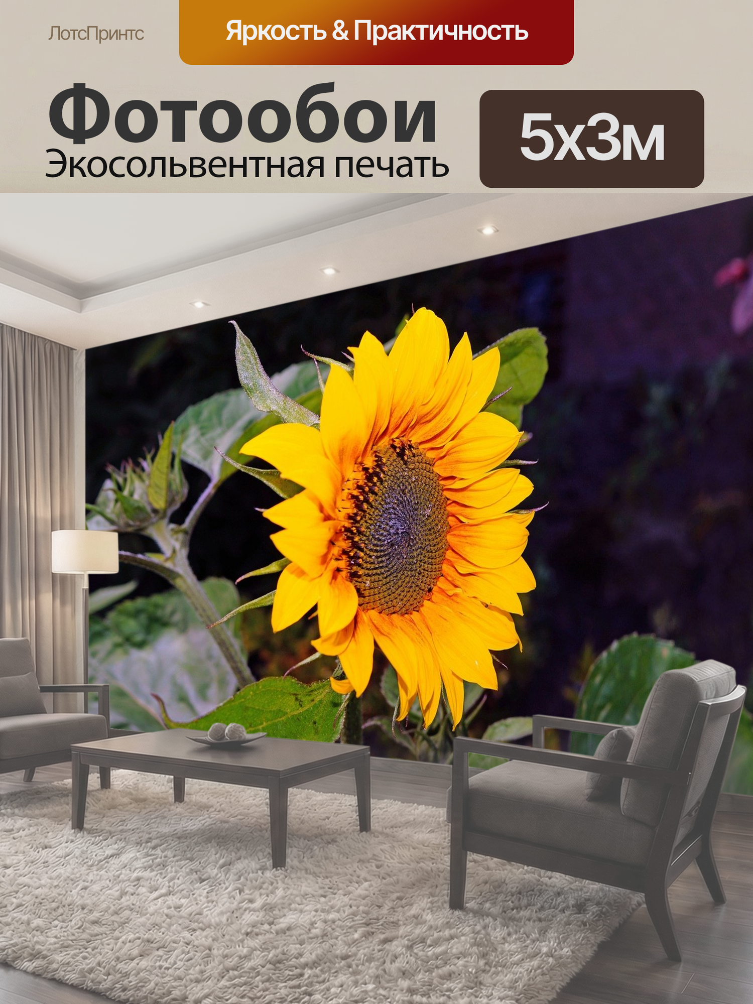 Фотообои "Подсолнух, лучевые соцветия, желтый" 500x300 см. экосольвентная печать