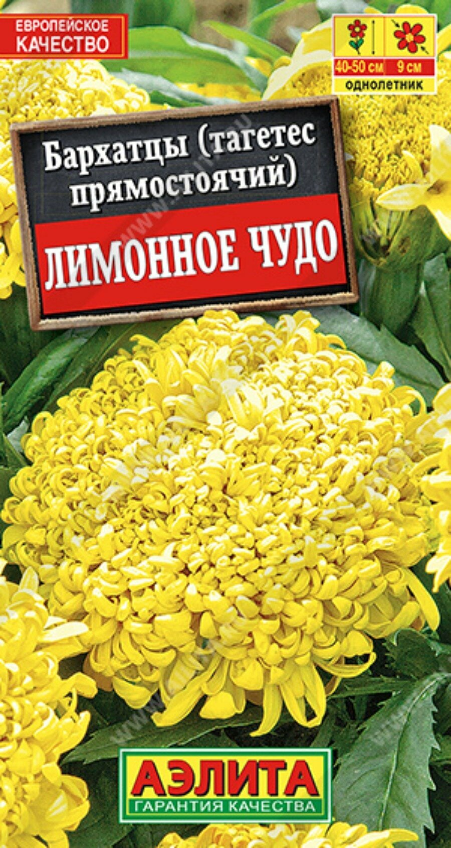 Семена Бархатцы Лимонное чудо (0,1 г), высота до 35 см, Агрофирма Аэлита