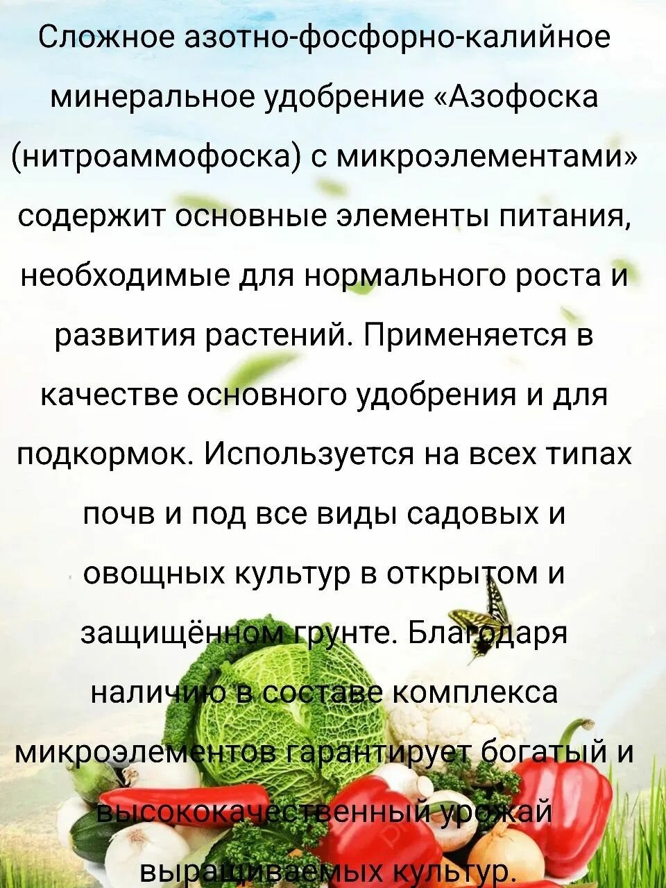 Удобрение азофоска с микроэлементами — фото 1