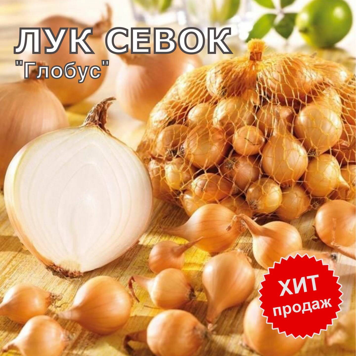 Лук севок озимый на посадку "Глобус" 0,5кг