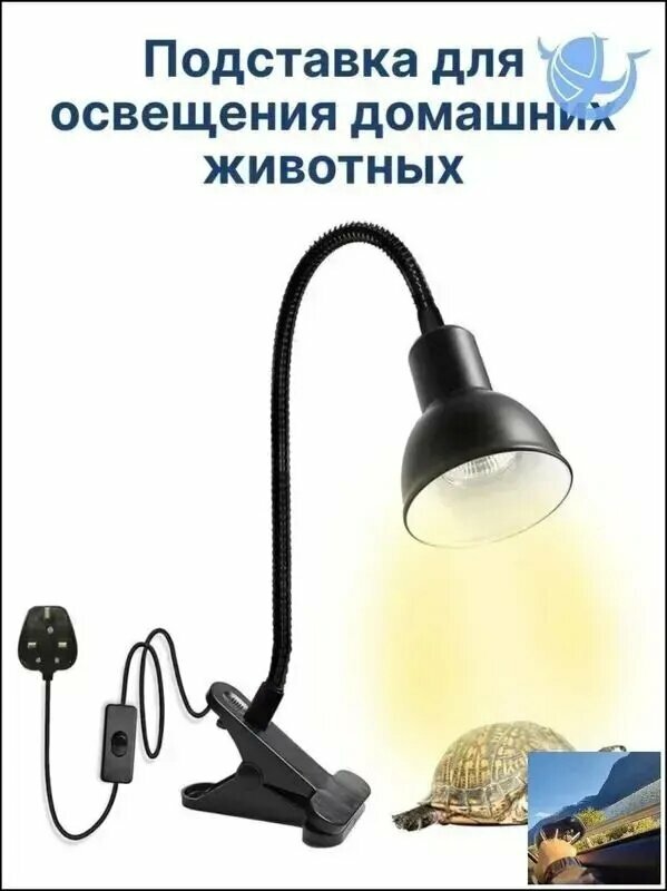 Эксклюзивный светильник для декоративных птиц