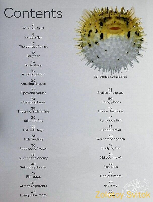 Книга DK Eyewitness "Fish", твёрдая обложка, 2022 г, на английском языке — фото 1