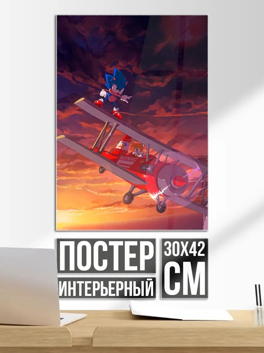 Постер на стену Amy rose sonic Соник