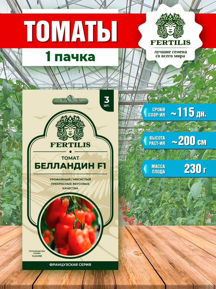Семена урожайного томата "Белландин F1" от компании Fertilis (1 пачка)