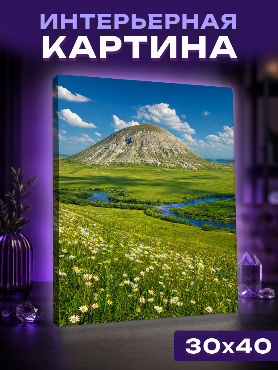 Интерьерная картина Шихан Торатау среди ромашек