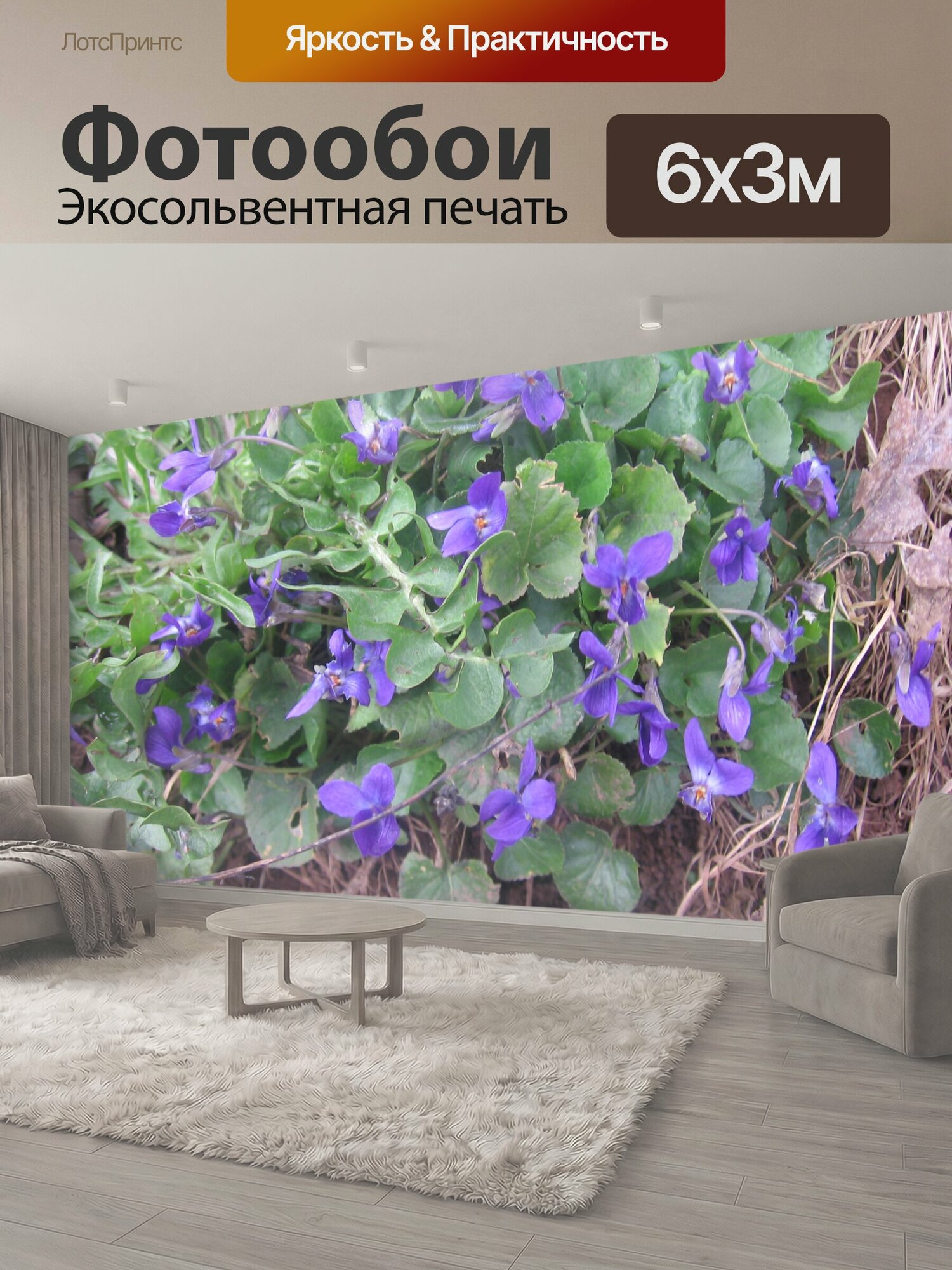 Фотообои "Фиалки весной Весенние цветы фиалки цветов" 600x300 см. экосольвентная печать