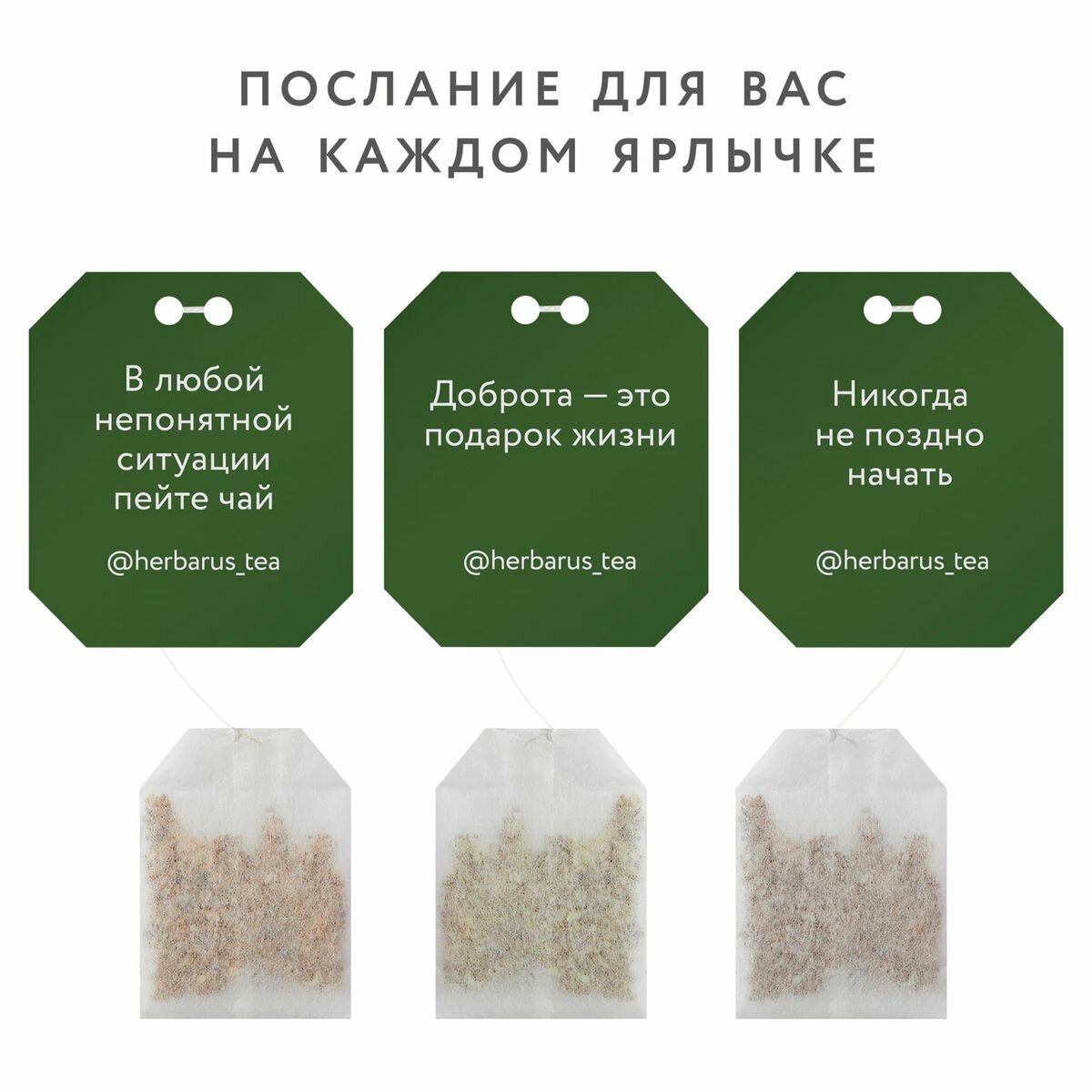 Чай Herbarus "Grand Secret" ассорти 12 вкусов, набор 60 пакетиков, 6 уп.