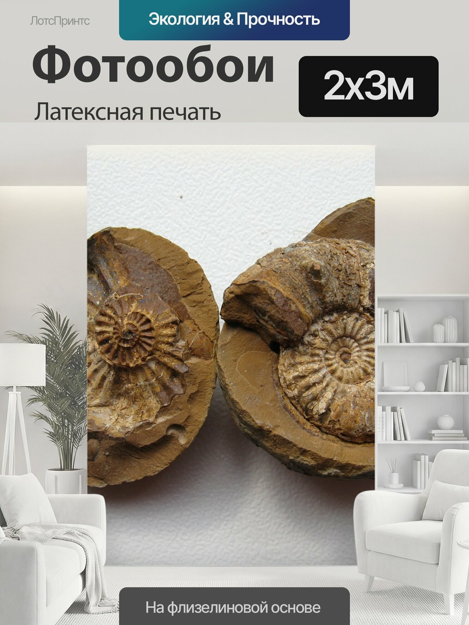 Фотообои моющиеся ударопрочные "Аммониты, окаменелости, головоногие" 200x300 см. латексная печать