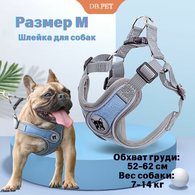 Шлейка для собак и кошек мелких и средних пород. M-Обхват груди: 52-62 см. DB PET