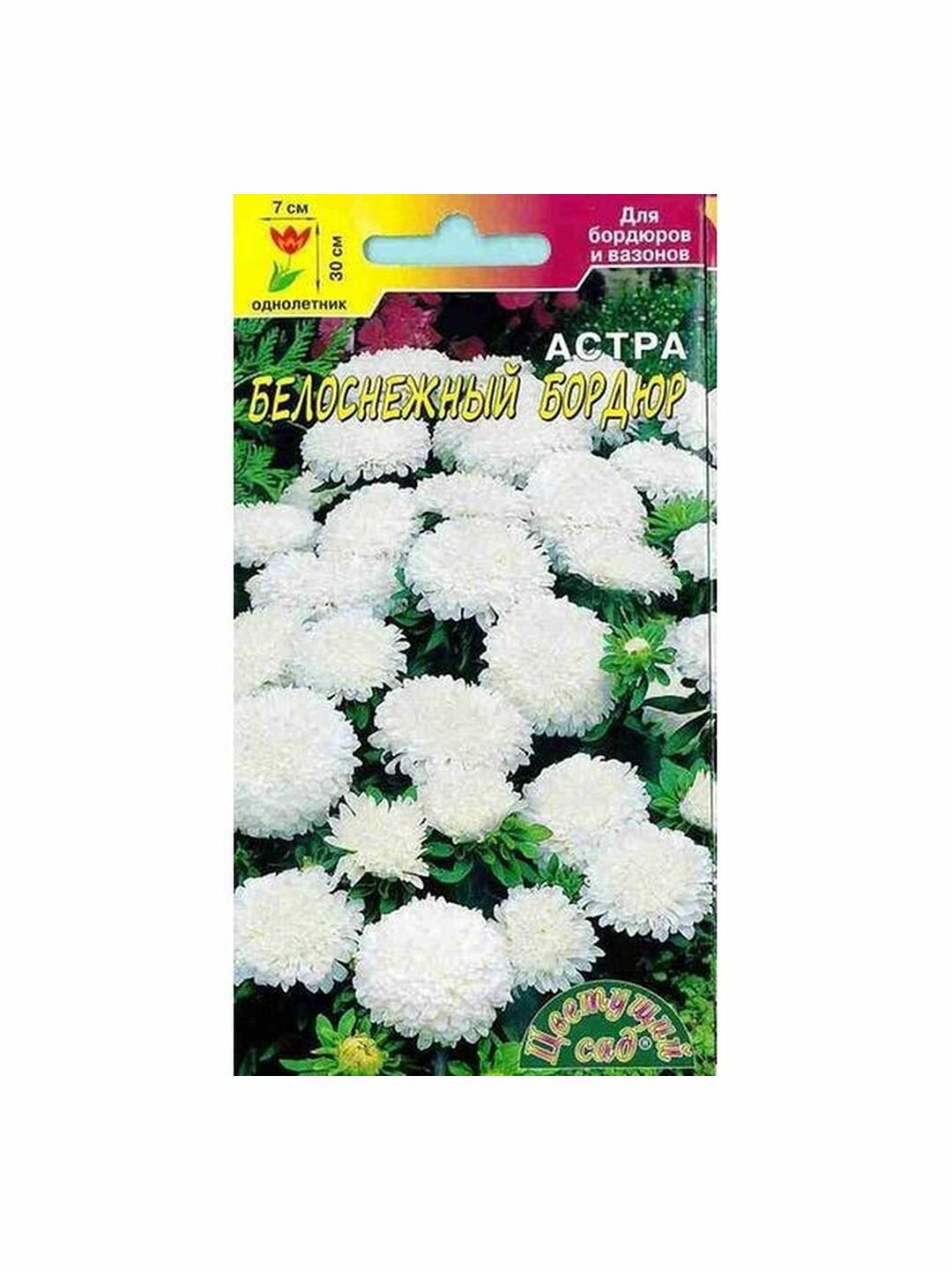 Семена Астра Бордюр Белоснежный, однолетник, Цветущий Сад, 1 пачка - 0.2г семян