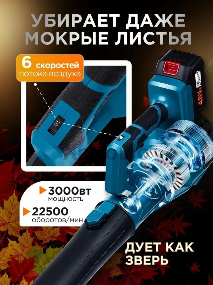 Воздуходувка,3000Вт — фото 1
