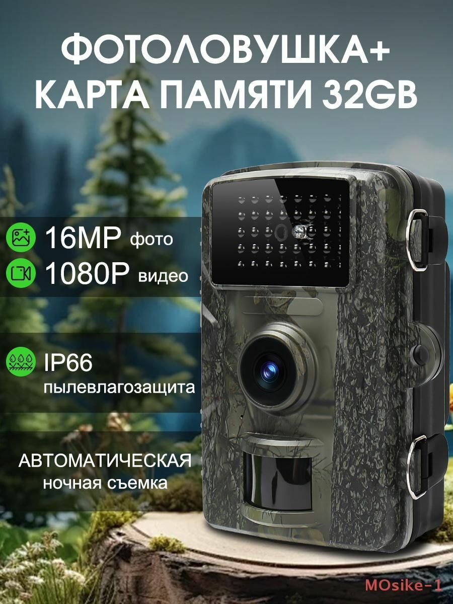 Фотоловушка