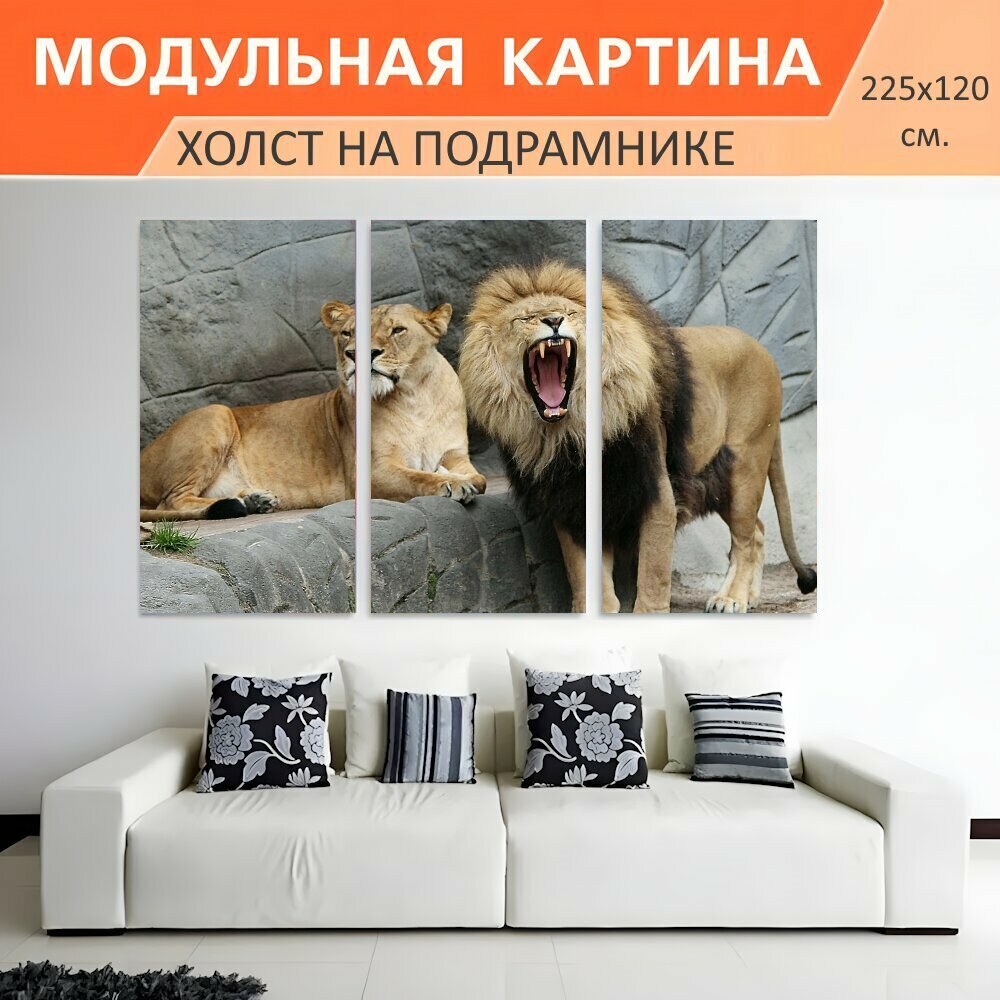 Модульная картина на холсте "Лев, пантера лев, львица" триптих на подрамнике 225х120 см. для интерьера
