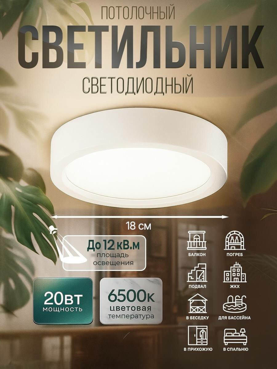 Светильник потолочный светодиодный 20Вт 6500К 18см, настенный и потолочный, круглый