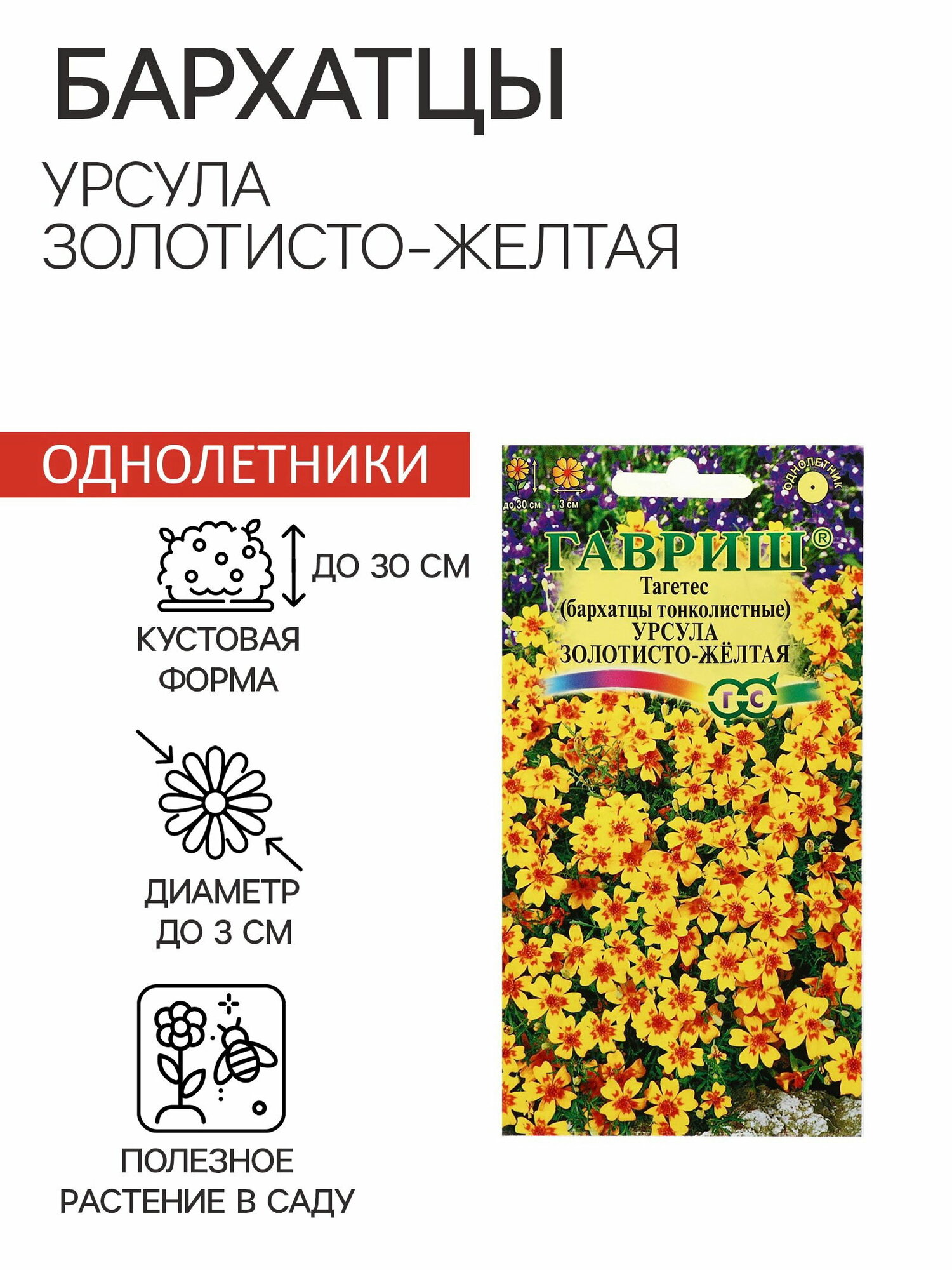 Семена цветов Бархатцы "Урсула золотисто-желтая", ц/п, тонколистные, 0.05 г, 2 шт.