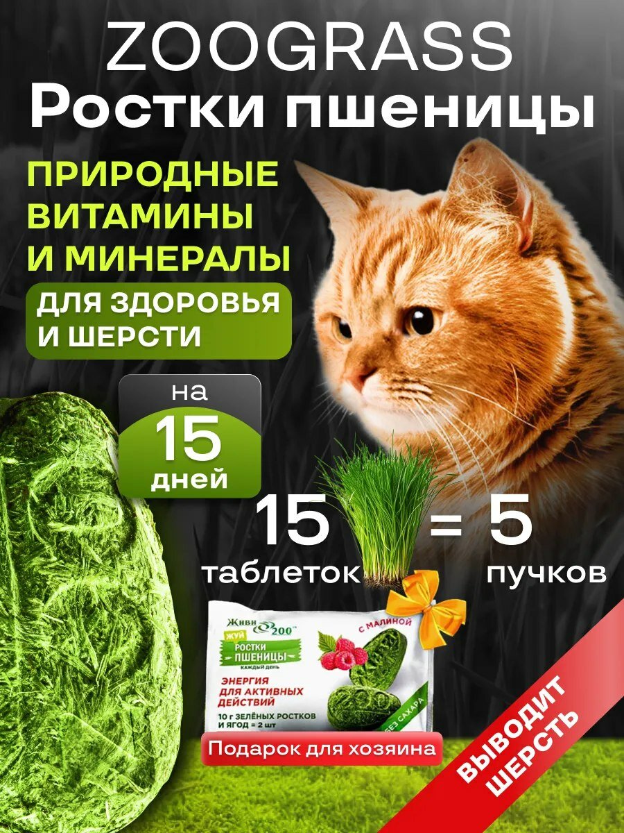 Витамины для кошек ZOOGRASS Живи200, для шерсти, для ЖКТ, клетчатка