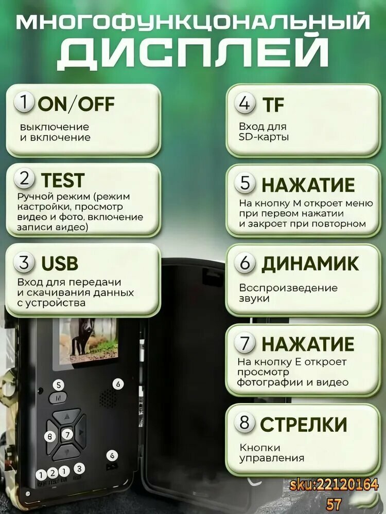Фотоловушка — фото 1