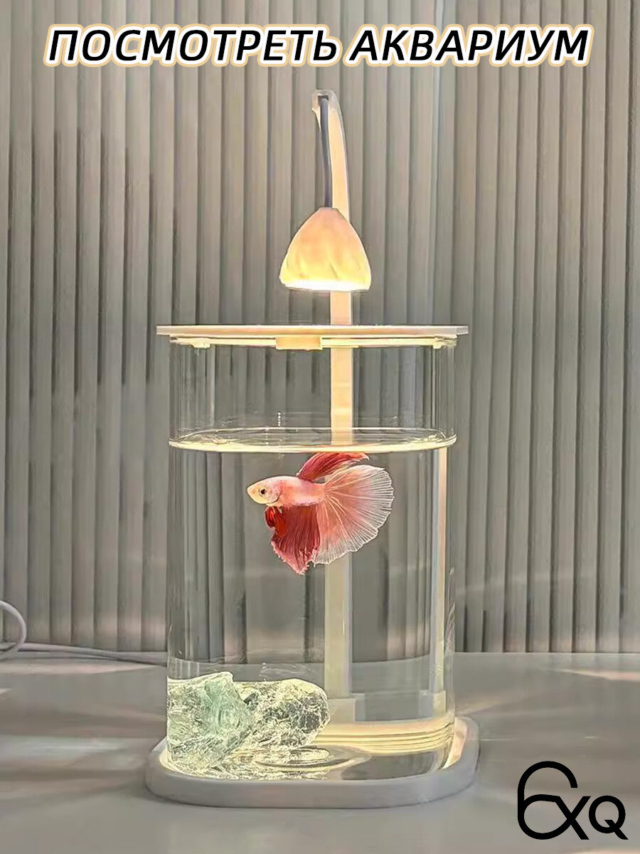 Экологический аквариум Douyu, настольный аквариум 10x10x15 cm