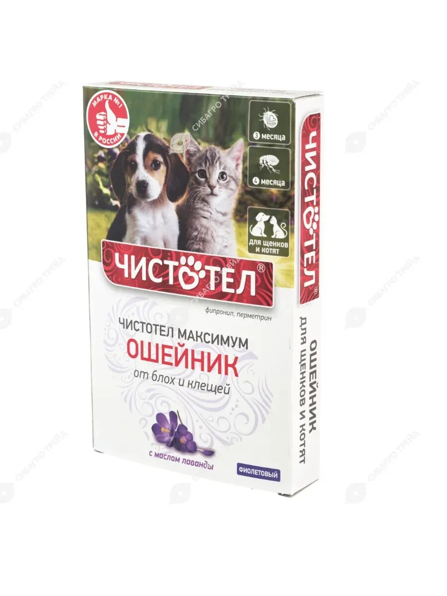 Чистотел максимум ошейник для щенков и котят, фиолетовый