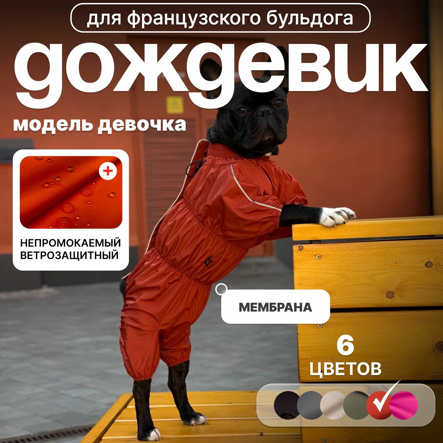 Одежда для животных