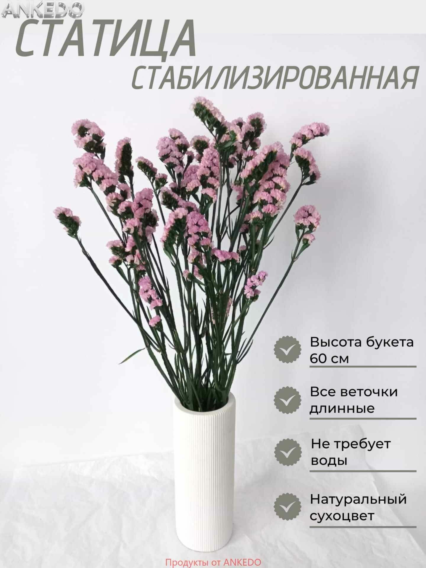 Статица стабилизированная для декора, сухоцвет