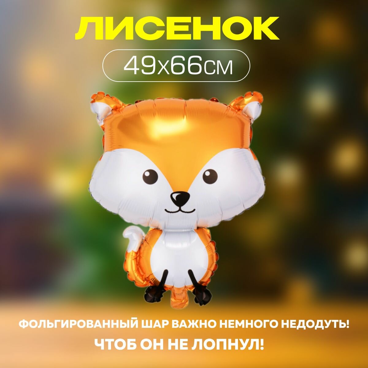 Воздушный шар — фото 1
