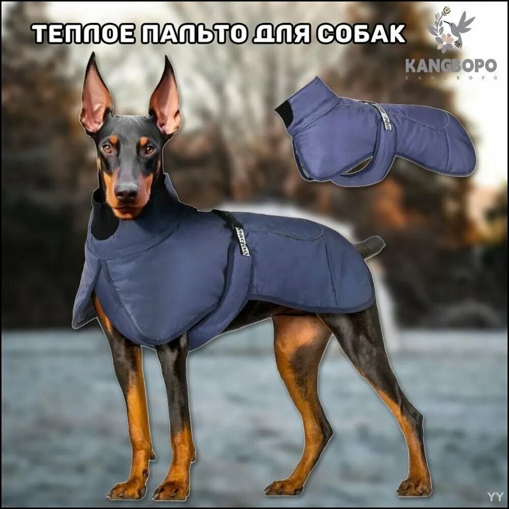 Одежда для животных/попона теплая для собак, Унисекс,6XL, синий