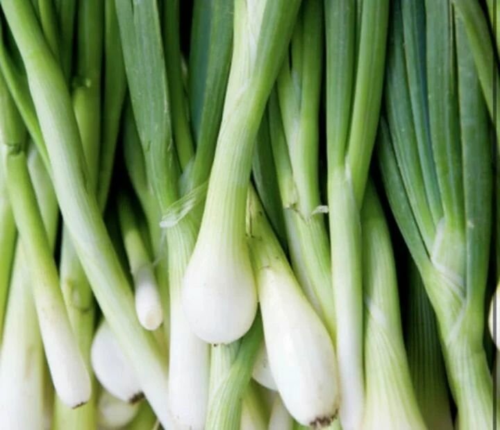 Коллекционные семена лука на зелень Милано