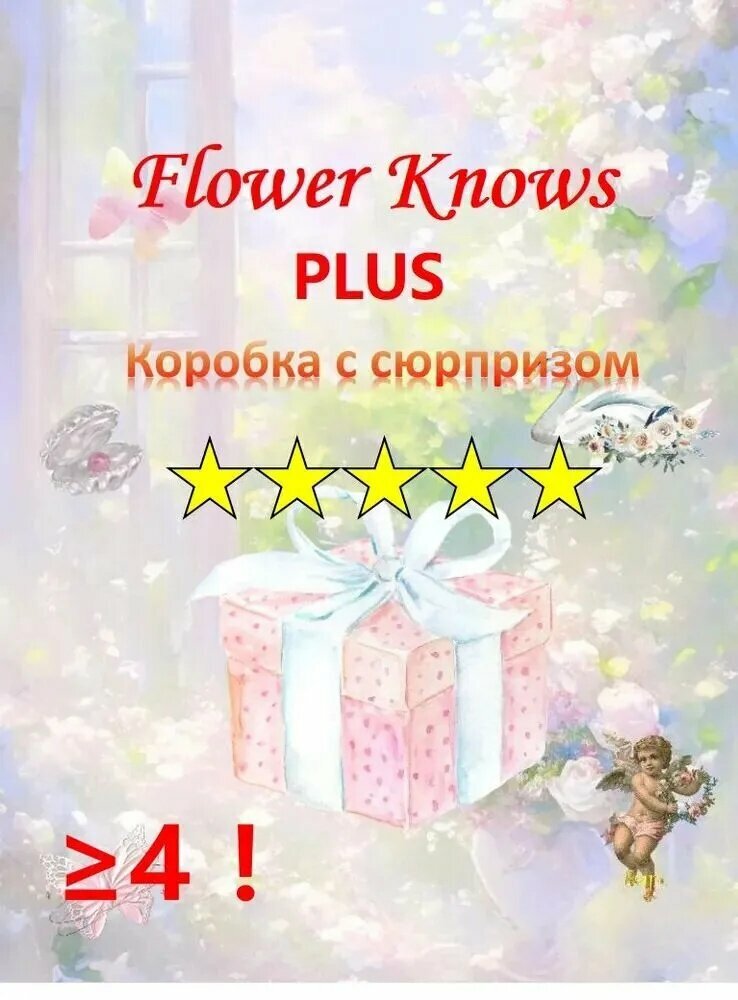 Plus Набор декоративной косметики Flower Knows Слеп коробккоробки(Минимум 4 продукта)