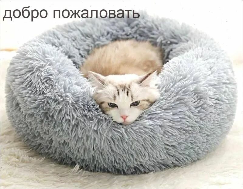 Лежанка экомех премиум, подстилка для кошек и собак мелких и средних пород с мехом, лежак для животных с бортиками, матрасик 45 x 35 см