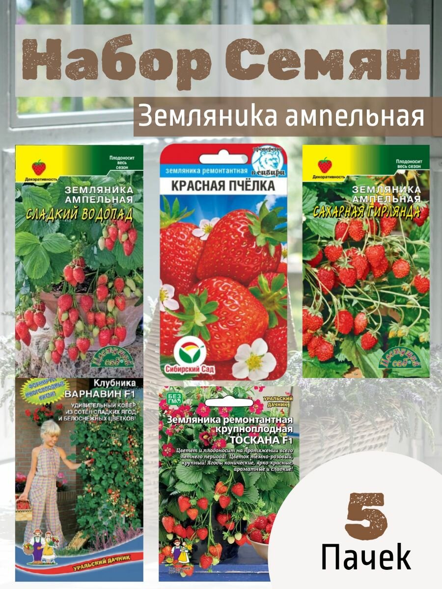 Семена земляники ампельной набор