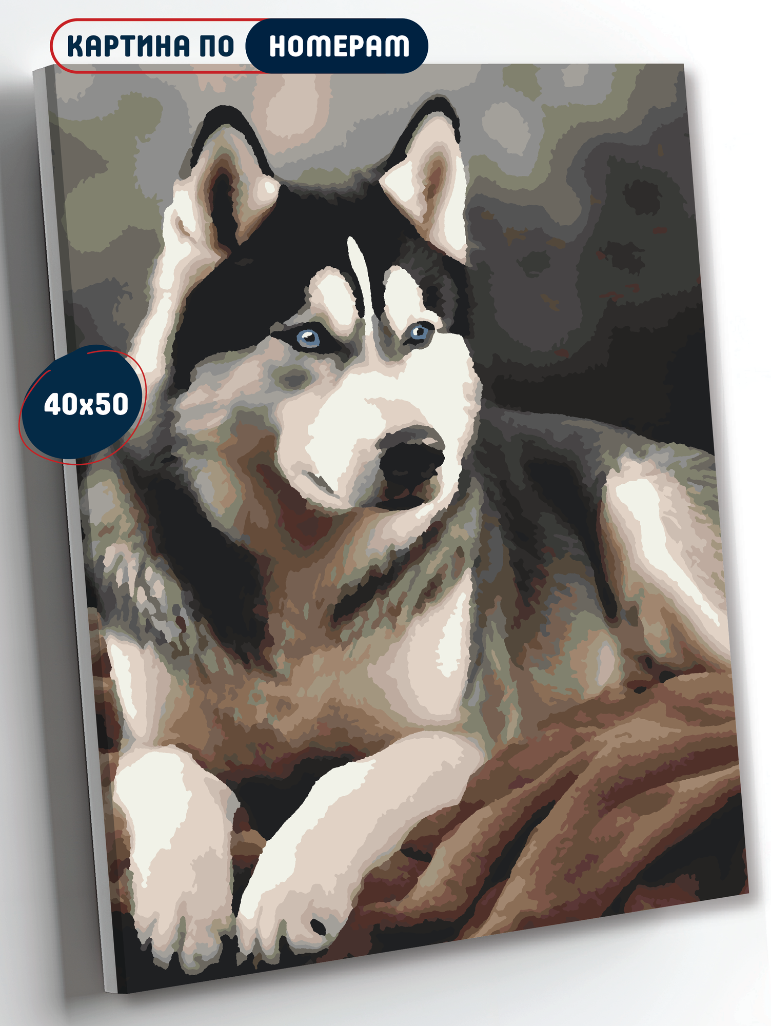 Картина по номерам "Хаски", Холст на подрамнике 40х50, набор для рисования, с животными
