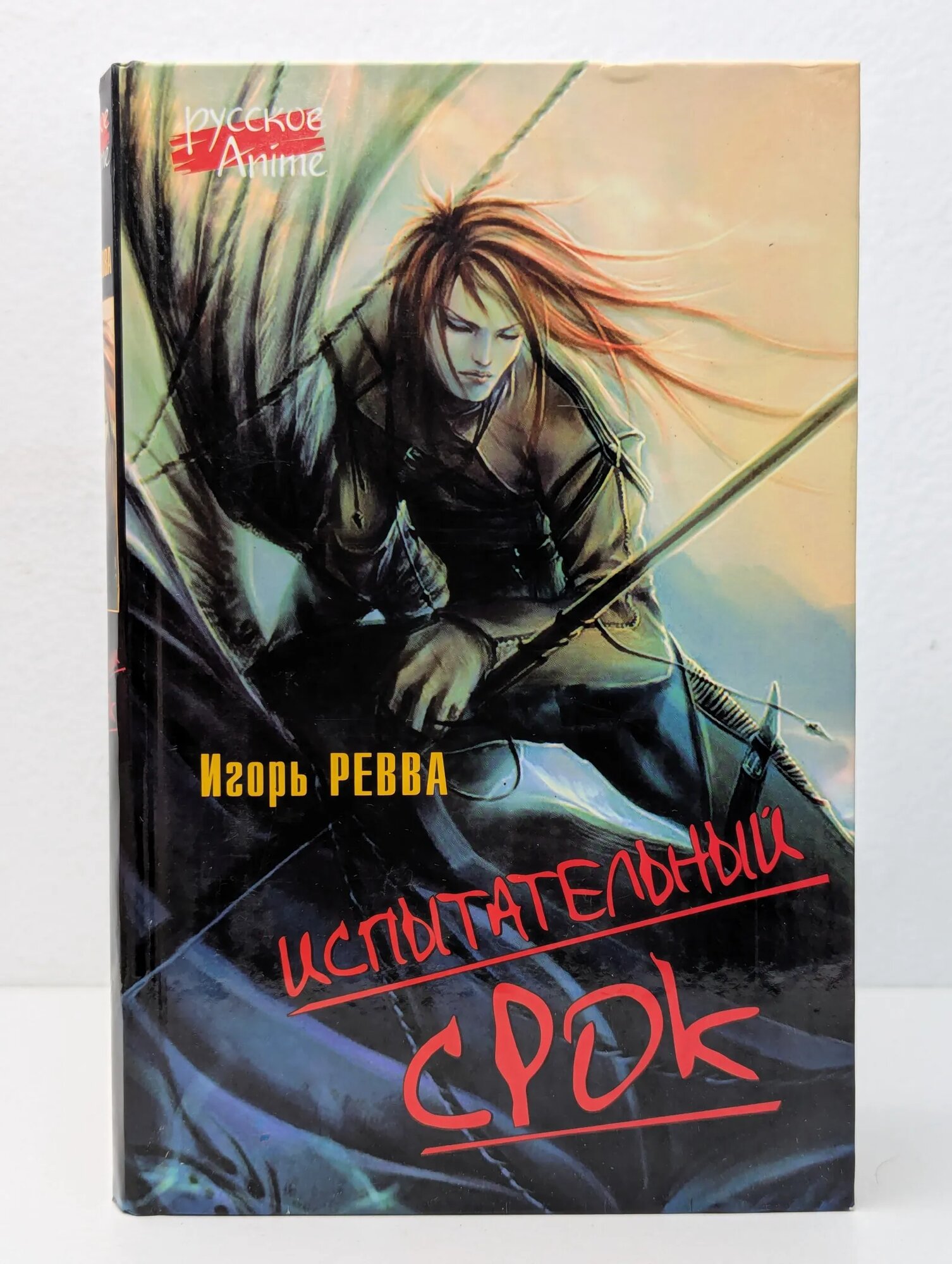 Испытательный срок Ревва Игорь Юрьевич 2006